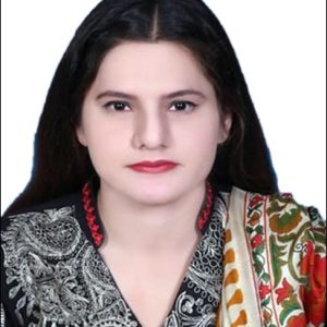 Department of Business & Public Administration – Emerson University Multan