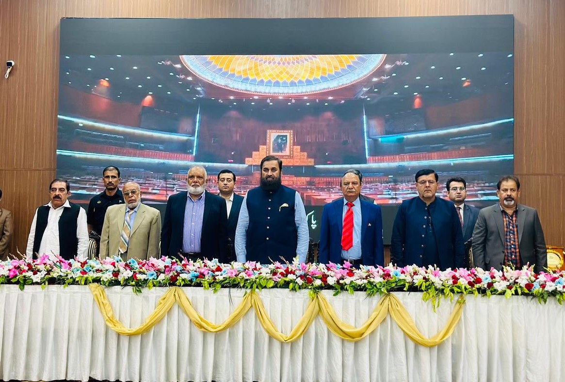 Emerson University Multan – A Public Sector University